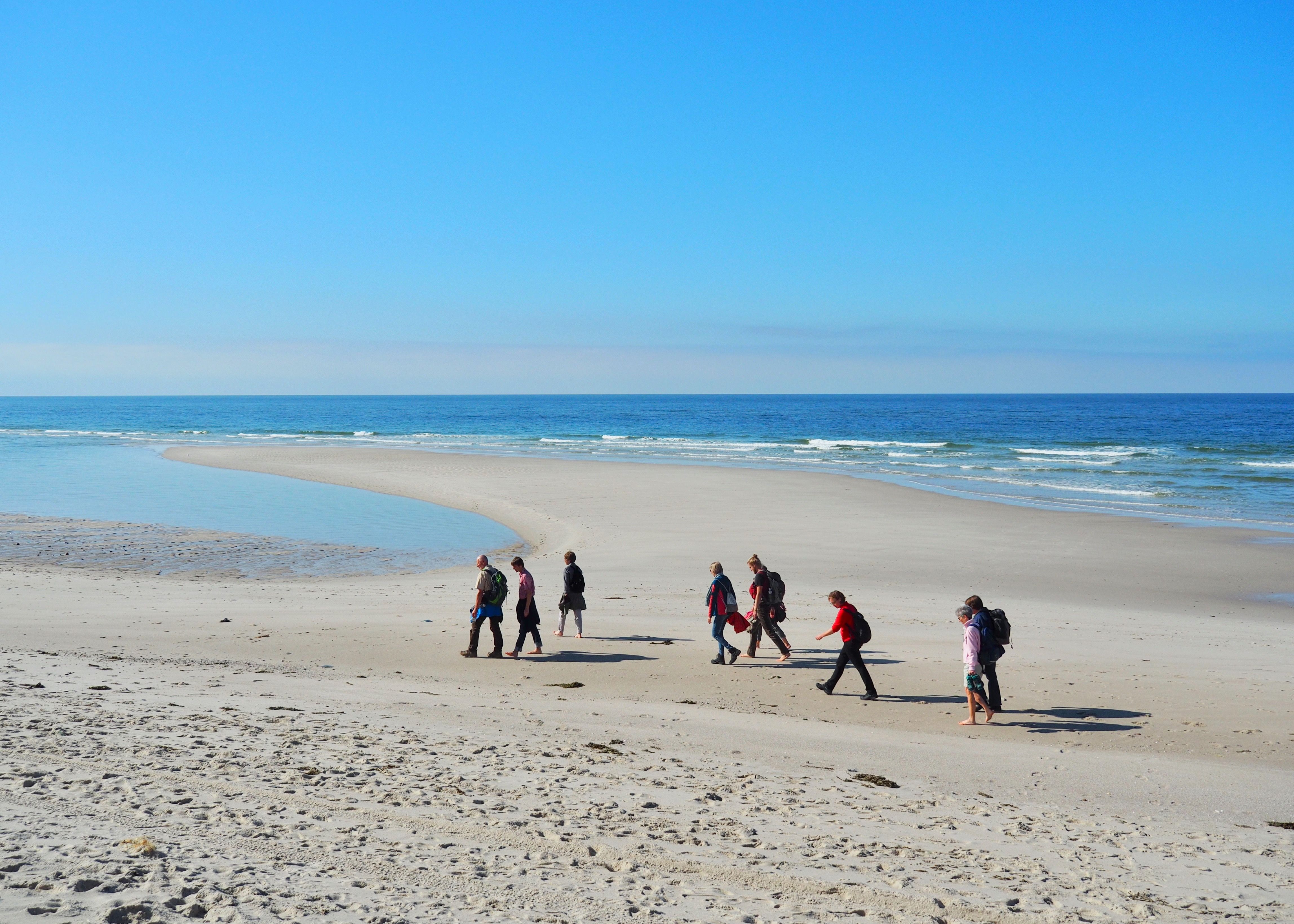 Nordseetourismus: Führung: Der weiße Strand von Amrum