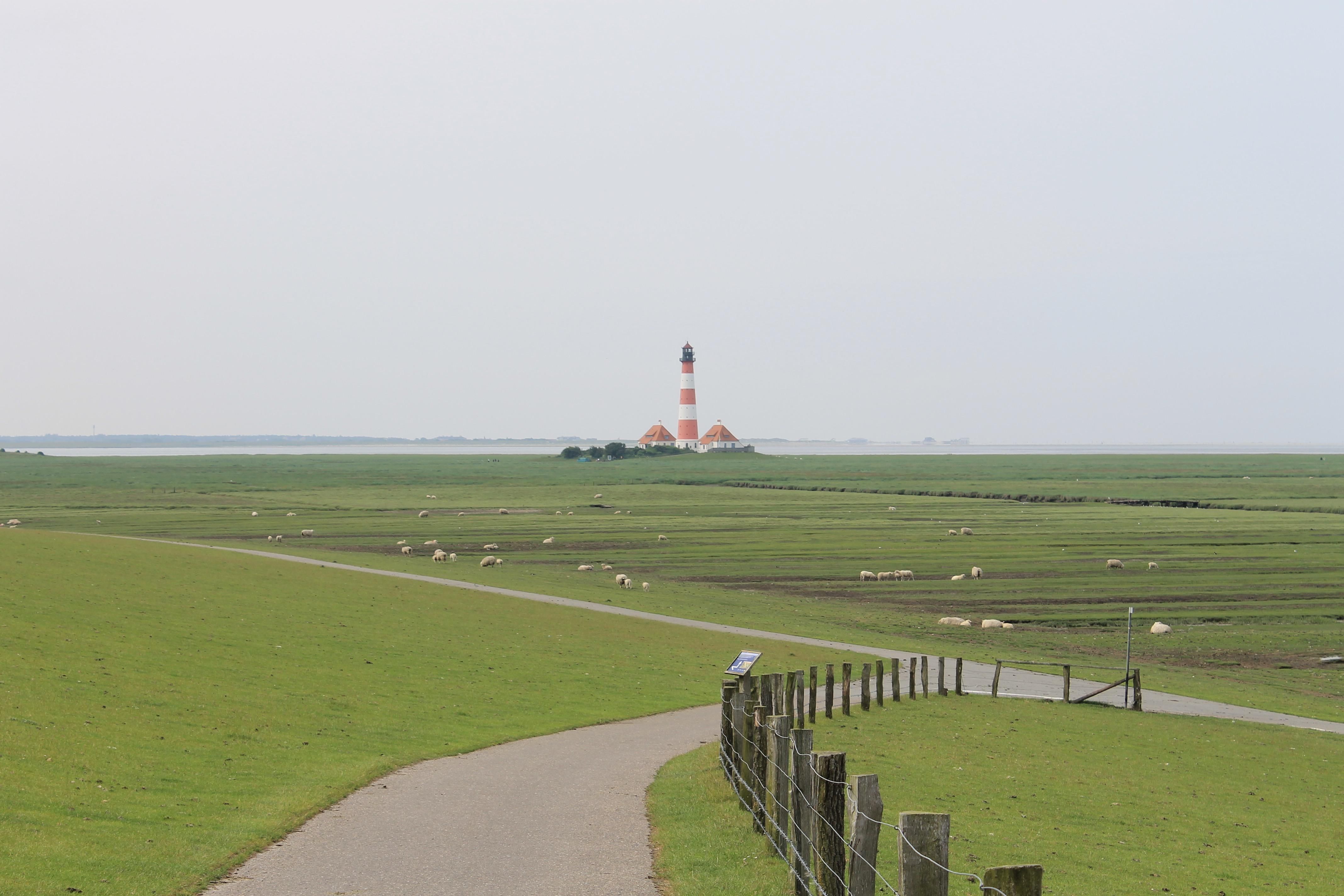 Nordseetourismus: Frühstück am Deich - Wadden Sea Day 2026