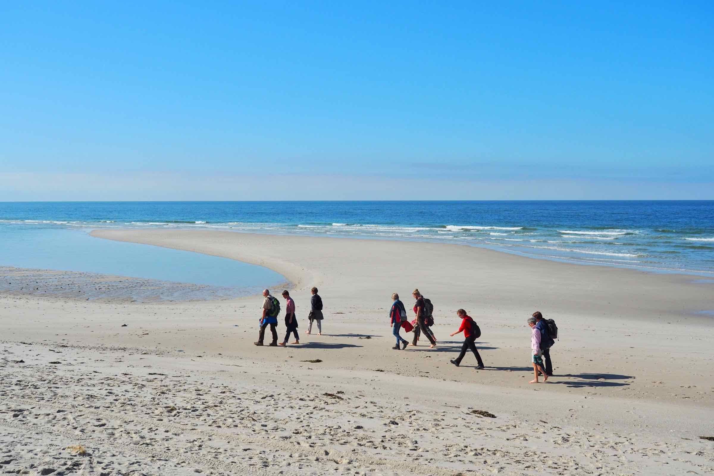 Nordseetourismus: Führung: Den Strand in Hörnum auf Sylt entdecken