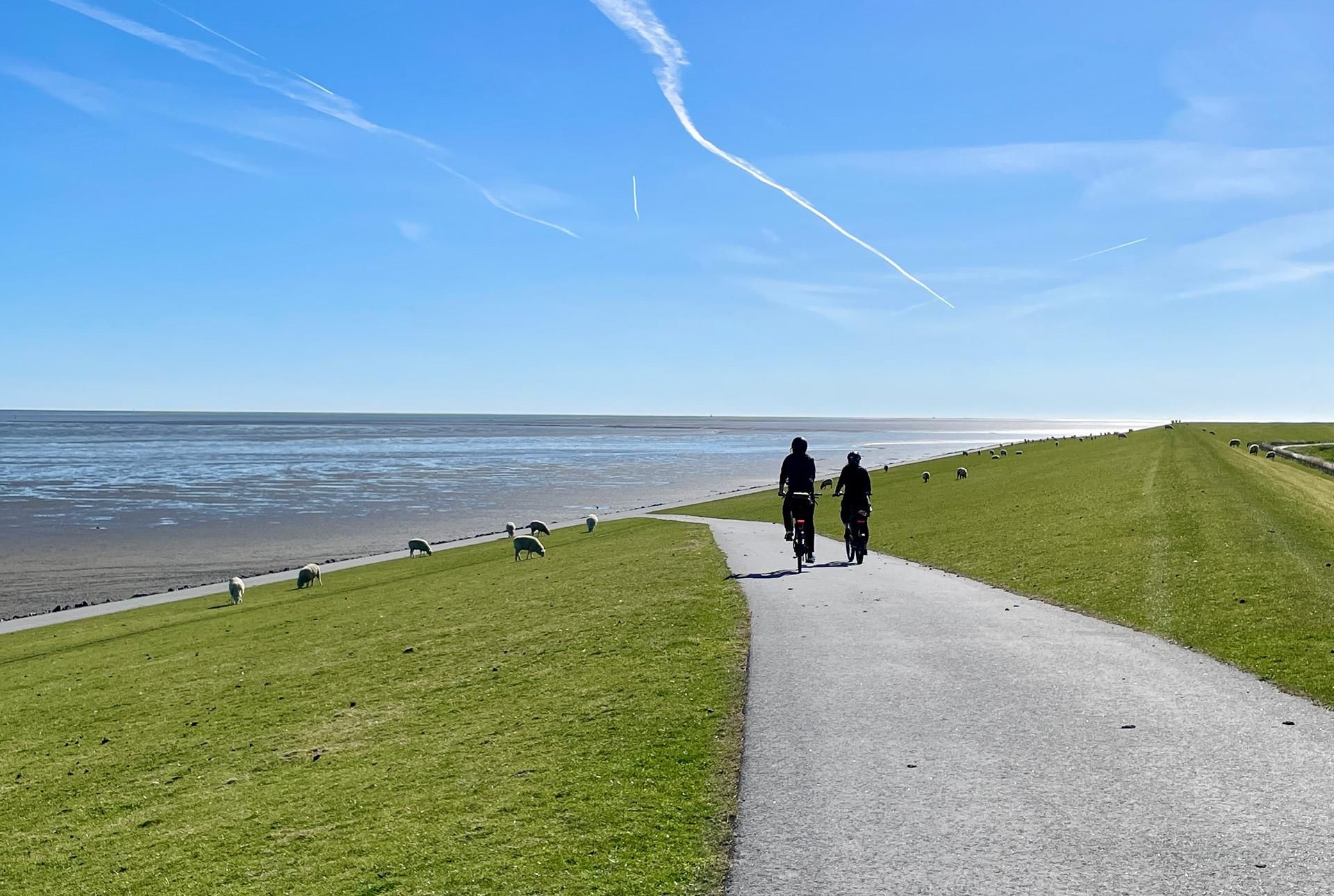 Nordseetourismus: Leuchtturm Fahrradtour von Eiderstedt pur